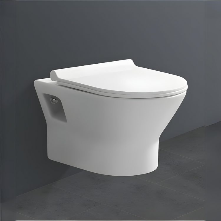 Space-Saving Wall Hung / Wall Mounted Toilets for Modern Bathrooms ...